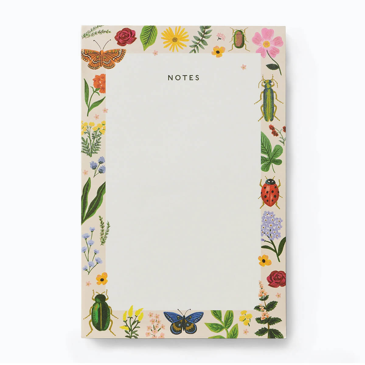 Curio Notepad by Rifle Paper Co. – Junior Edition
