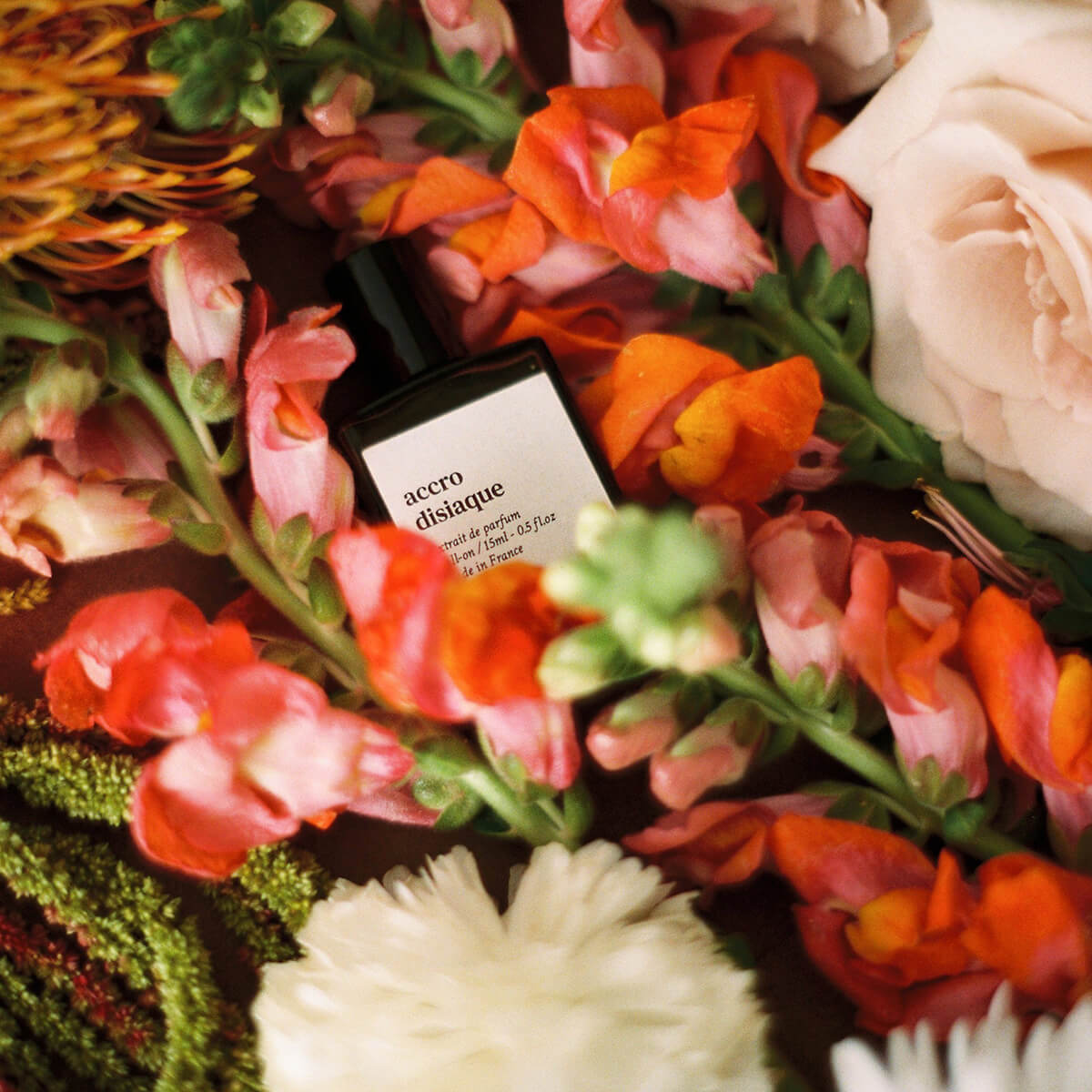 Fragrance – Junior Edition