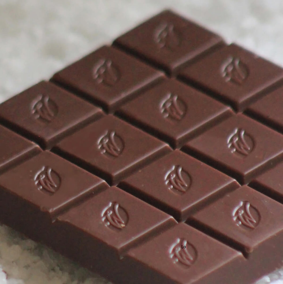 Chocolate & Confectionery – Junior Edition