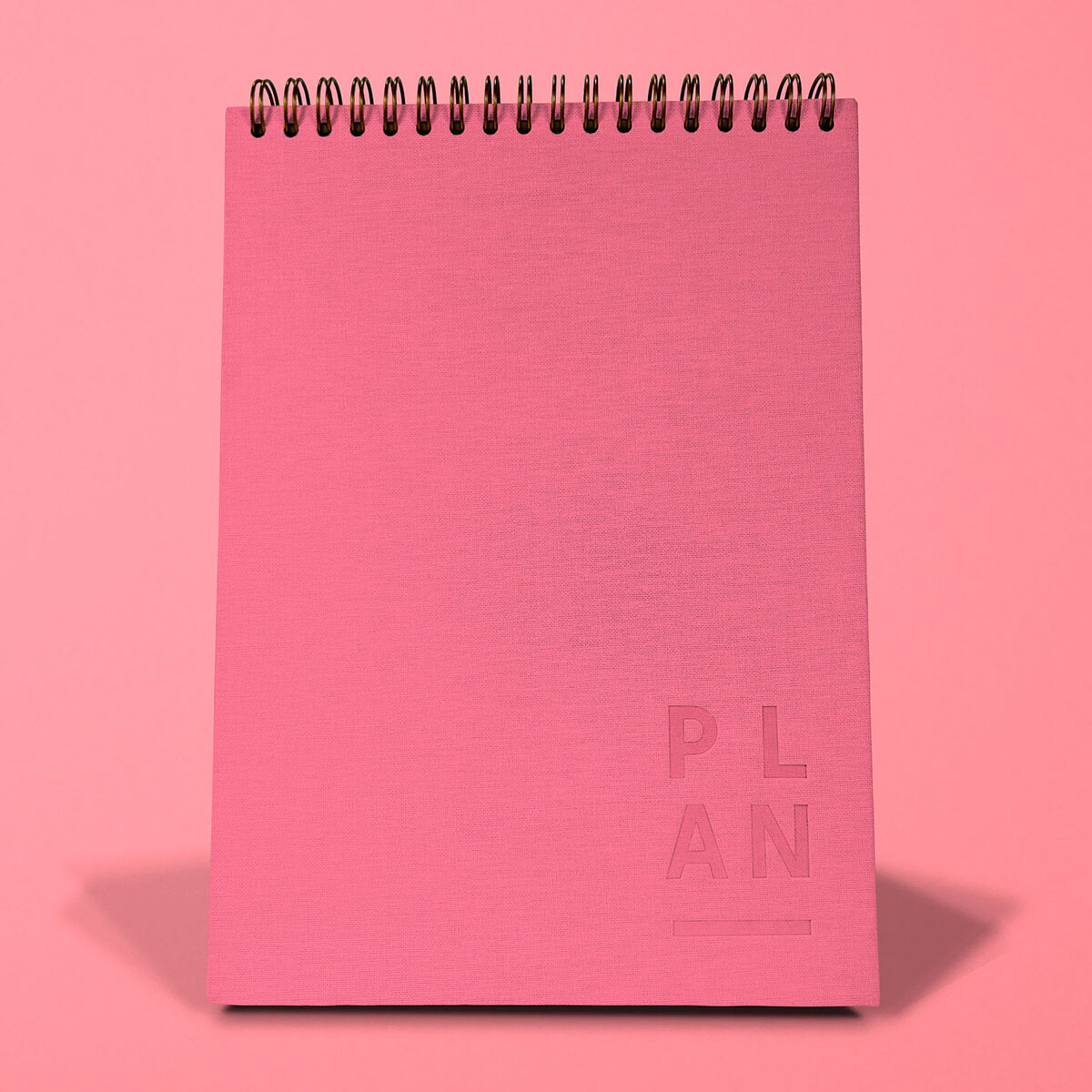 Blank Canvas Weekly Desktop Planner in Pink by 1973 – Junior Edition