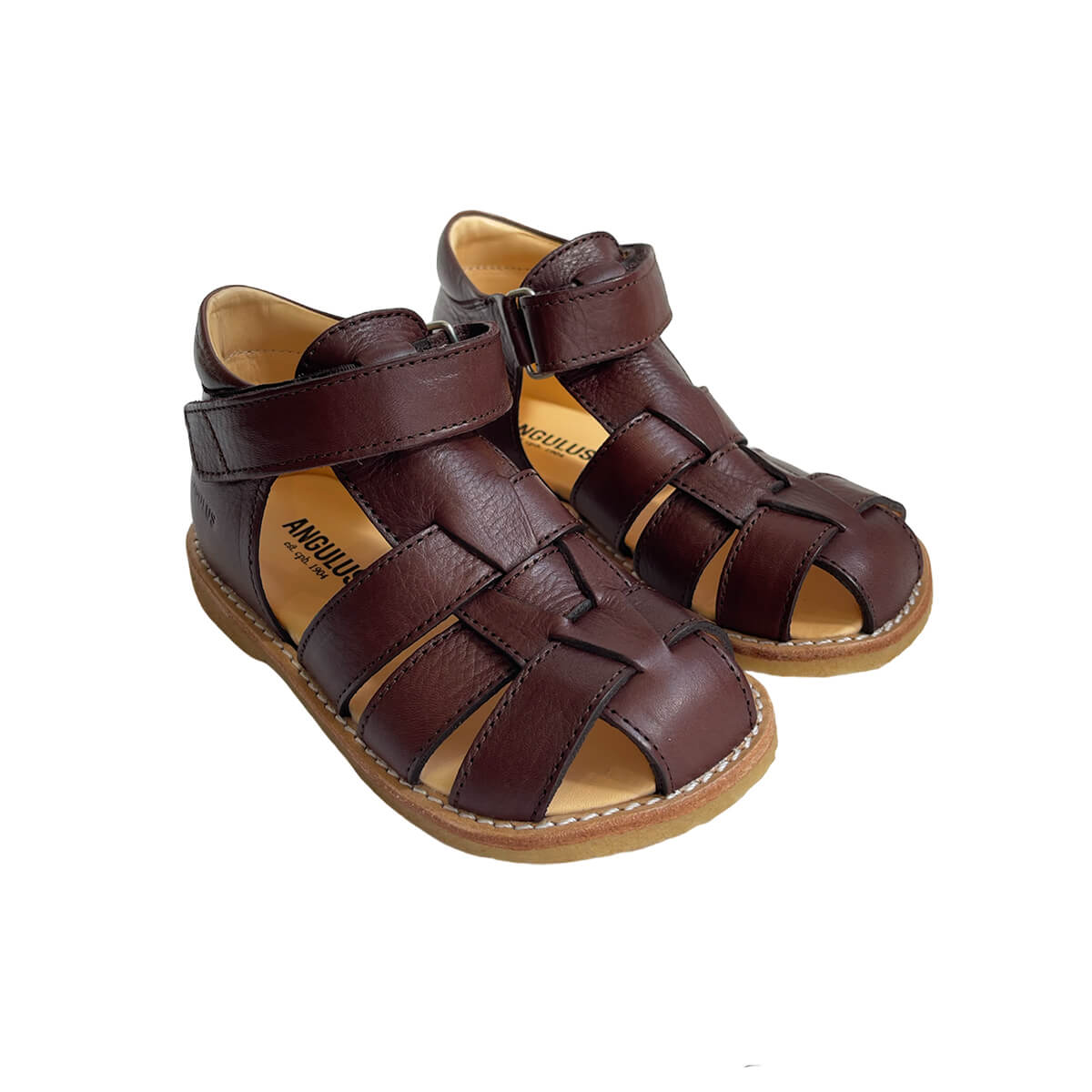 Fisherman Starter Sandals in Dark Brown (Wide Fit) by Angulus – Junior ...