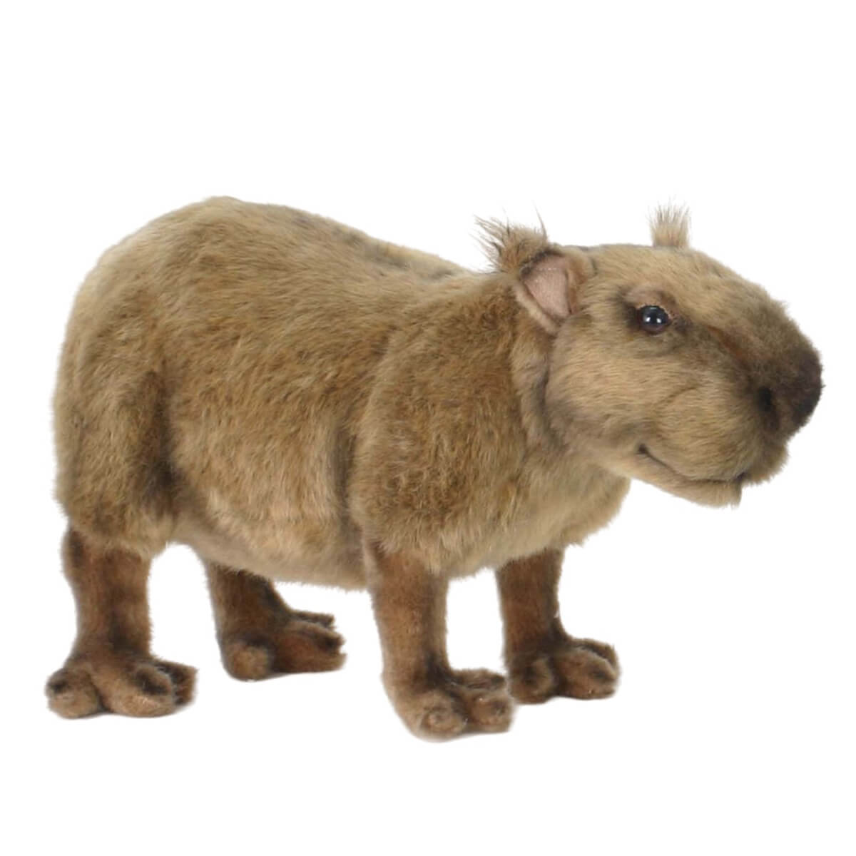 Capybara (33cm) by Hansa – Junior Edition