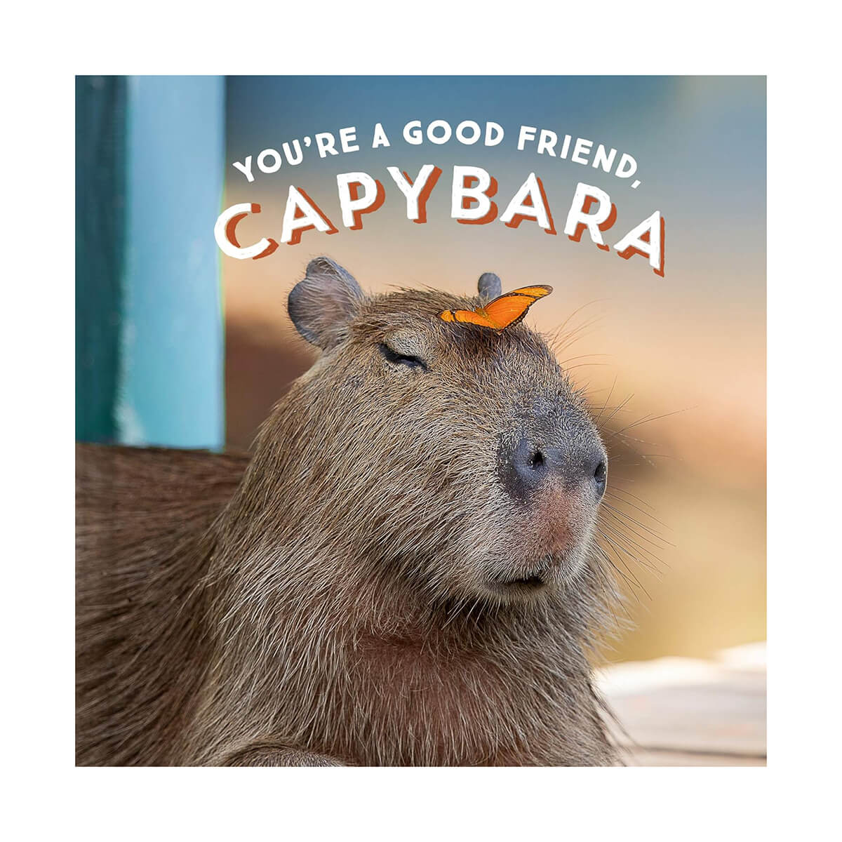 You're A Good Friend, Capybara by Chronicle Books – Junior Edition