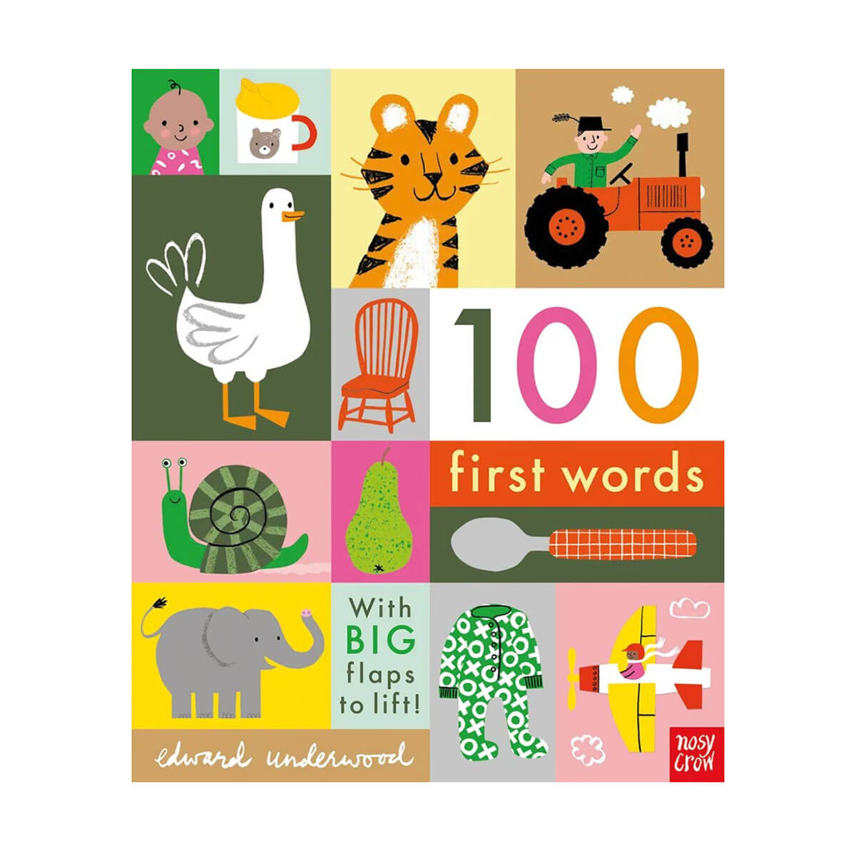 100 First Words by Edward Underwood – Junior Edition