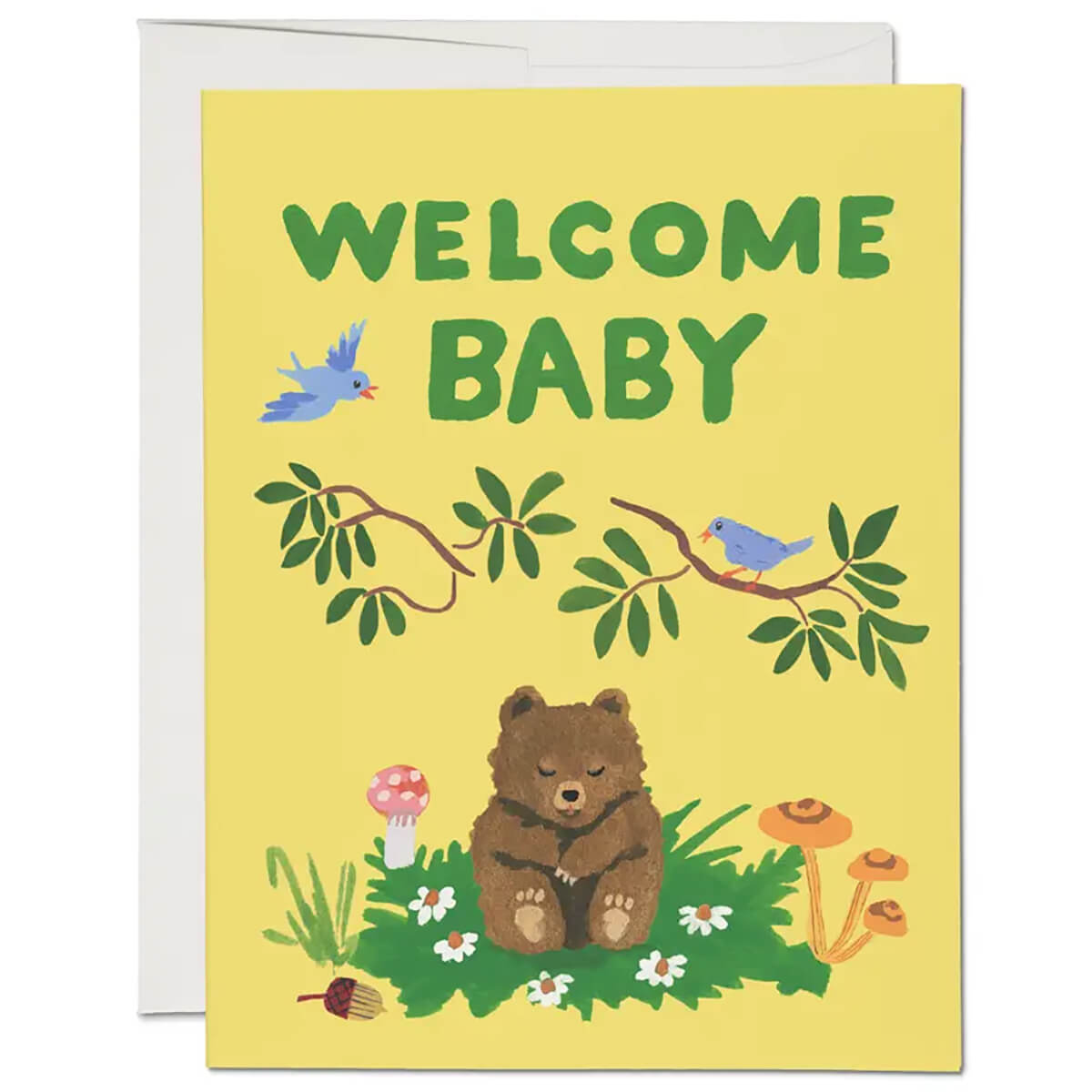 Bear Cub Baby Greetings Card by Red Cap Cards – Junior Edition