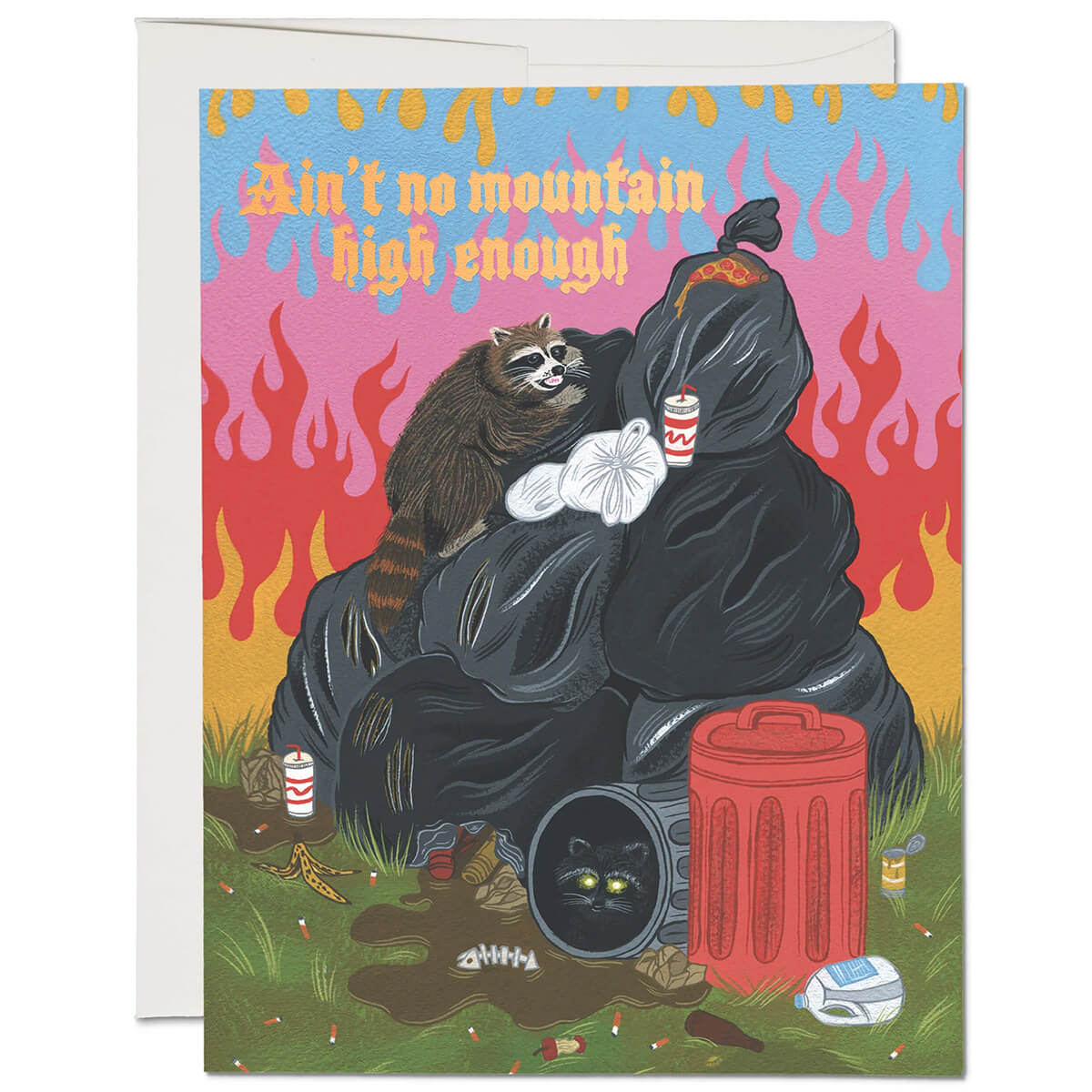 Raccoon Fun Congratulations Greetings Card by Red Cap Cards – Junior ...