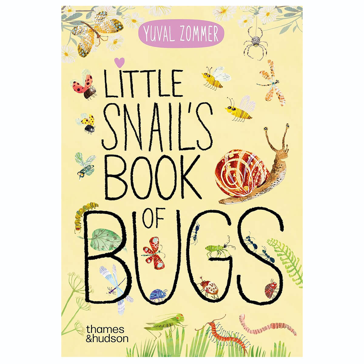 Little Snail's Book Of Bugs by Yuval Zommer – Junior Edition