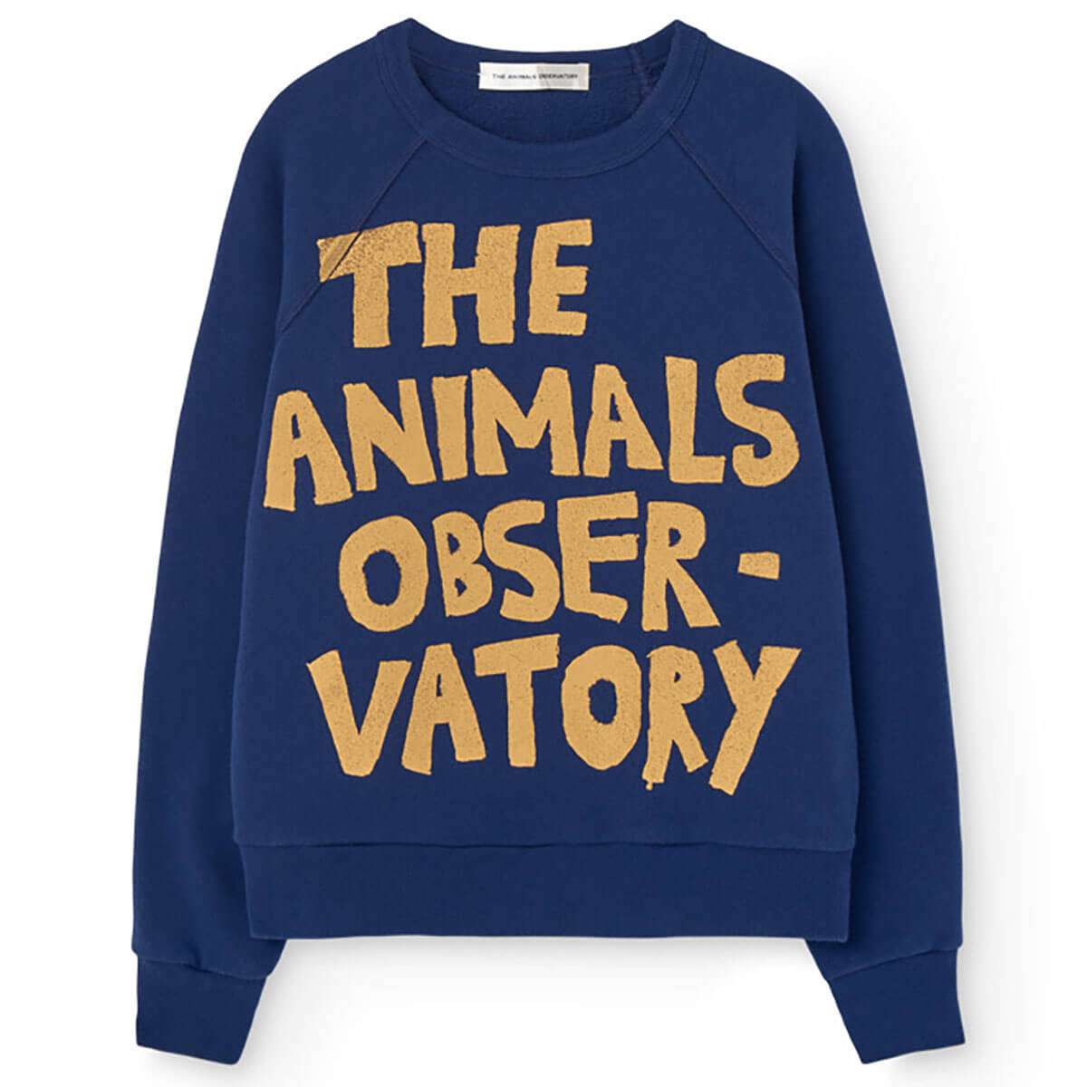 Shark Kid Sweatshirt in Deep Blue by The Animals Observatory – Junior ...