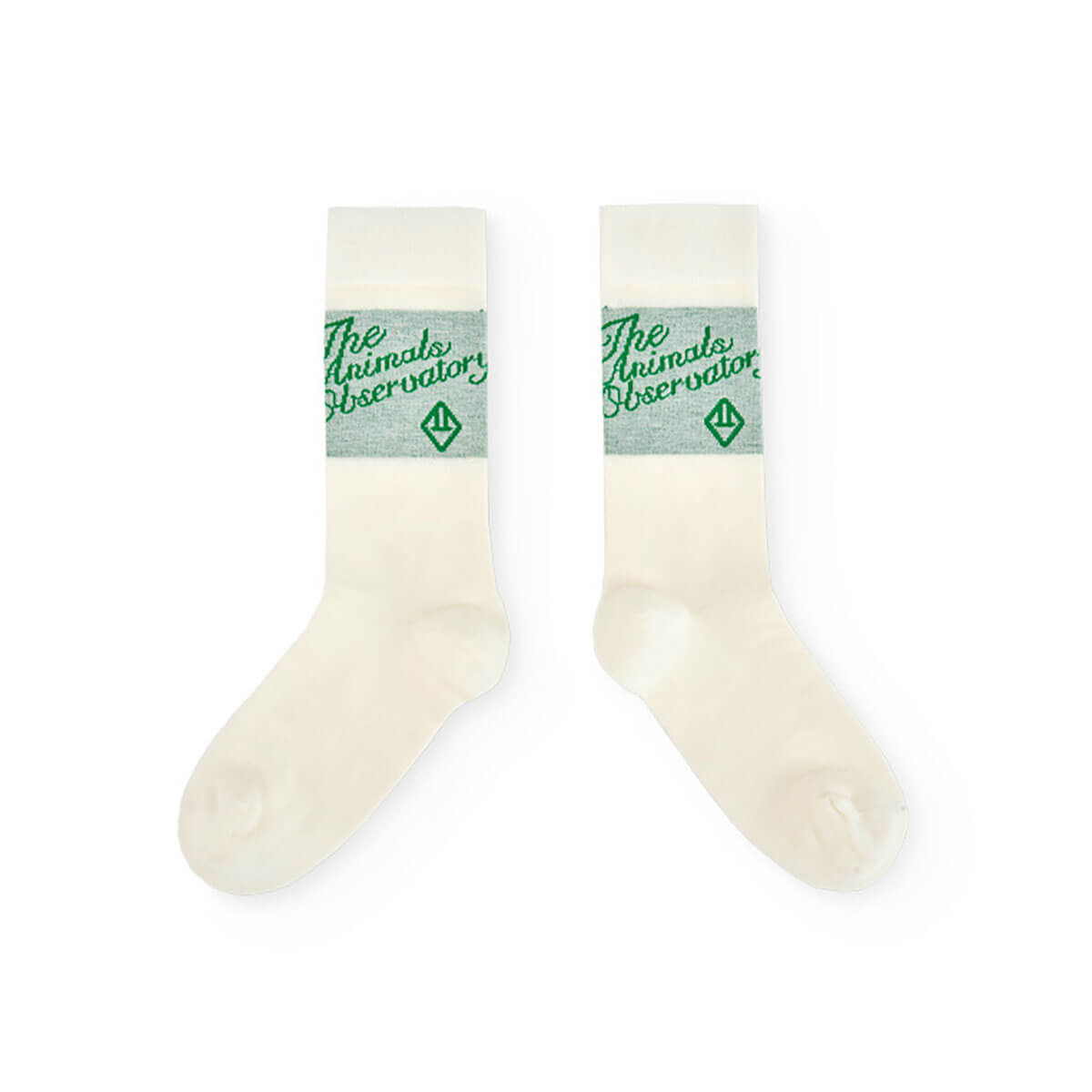 Snail Kid Socks in Green by The Animals Observatory – Junior Edition