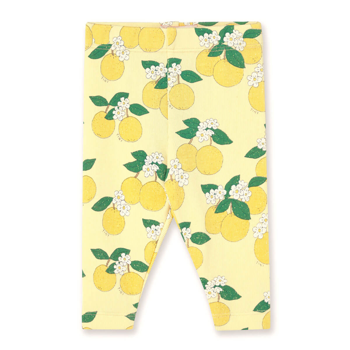 Oranges Rib Baby Pant in Mellow Yellow by Tinycottons – Junior Edition