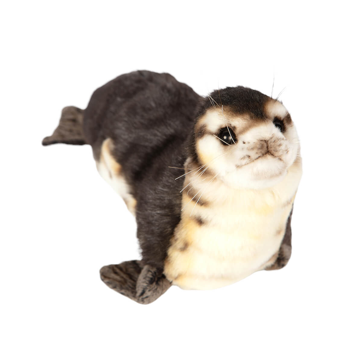 Baby Seal Monk (30cm) by Hansa – Junior Edition