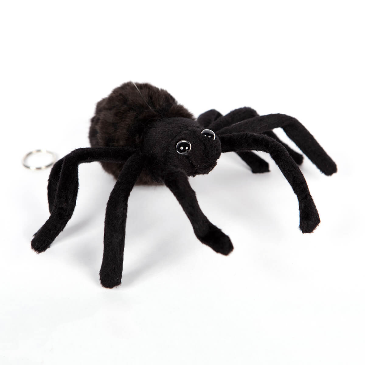 Black Tarantula Spider