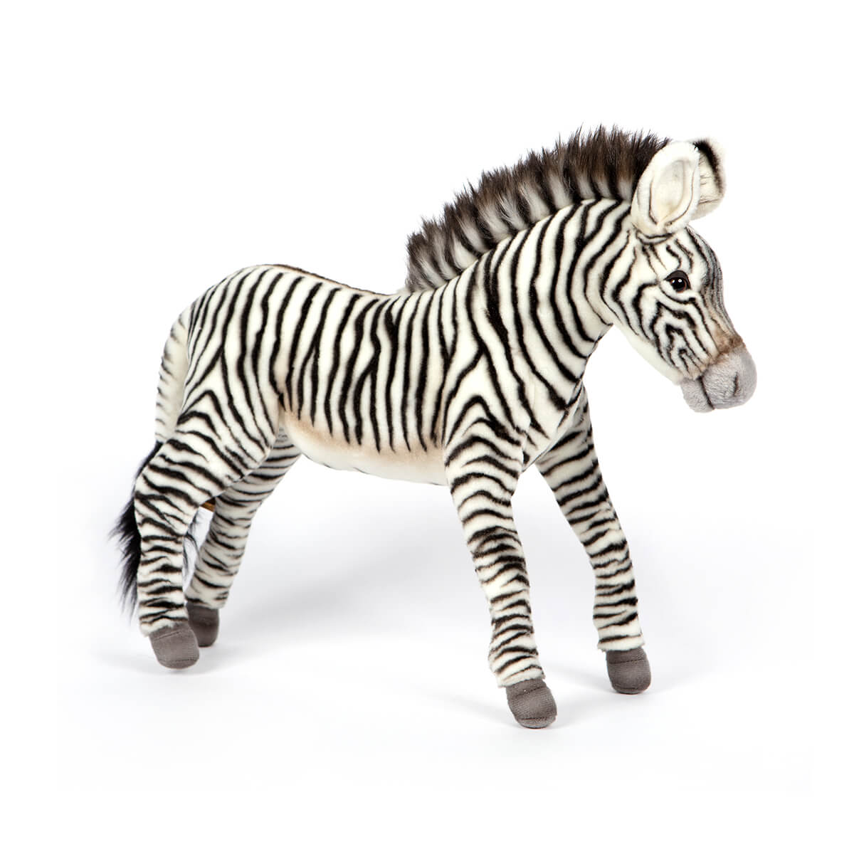 Grevy's Zebra (35cm) by Hansa – Junior Edition